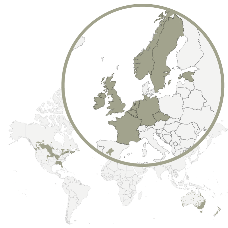 Trimble VRS - Abonnement GNSS RTK - D3E Geospatial
