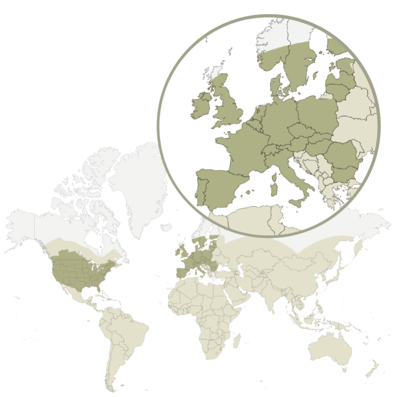 Trimble RTX - Abonnement GNSS RTK - D3E Geospatial